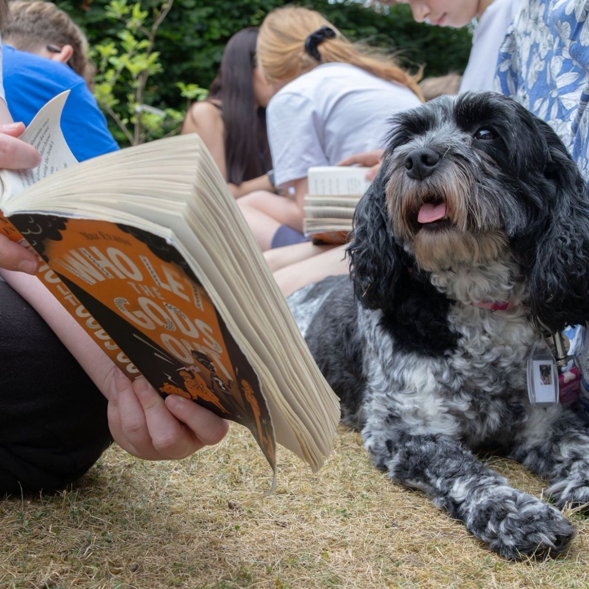Miers Court Primary School - Meet Molly!
